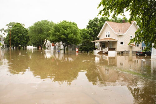 What to Look for in a “Green” City | Understanding Sustainable Cities ...